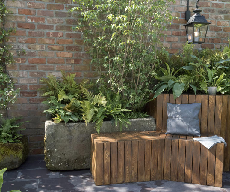 The only plant you need for a natural slug-proof barrier: It's low ...