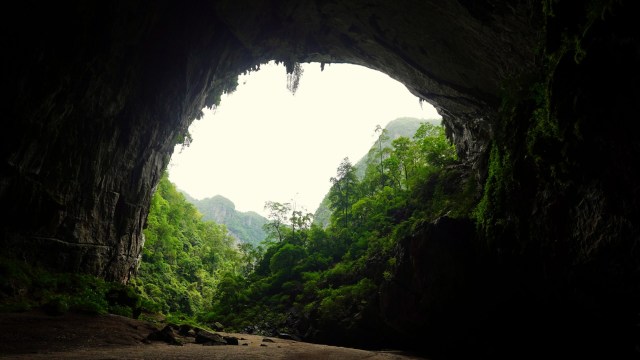 Scientists celebrate after making first-time discovery inside Southeast ...