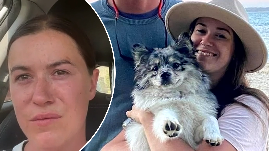 Owner offers $10k reward to find her lost dog