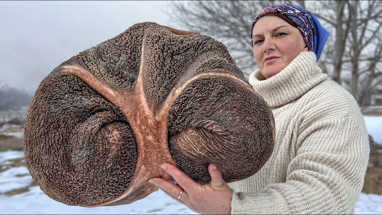 Delicious Pilaf Baked Inside a Beef Stomach – A Mountain Feast! 🍚🔥