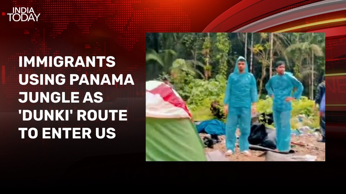 Indian deportee's video shows Panama Jungle being used as 'Dunki' route ...