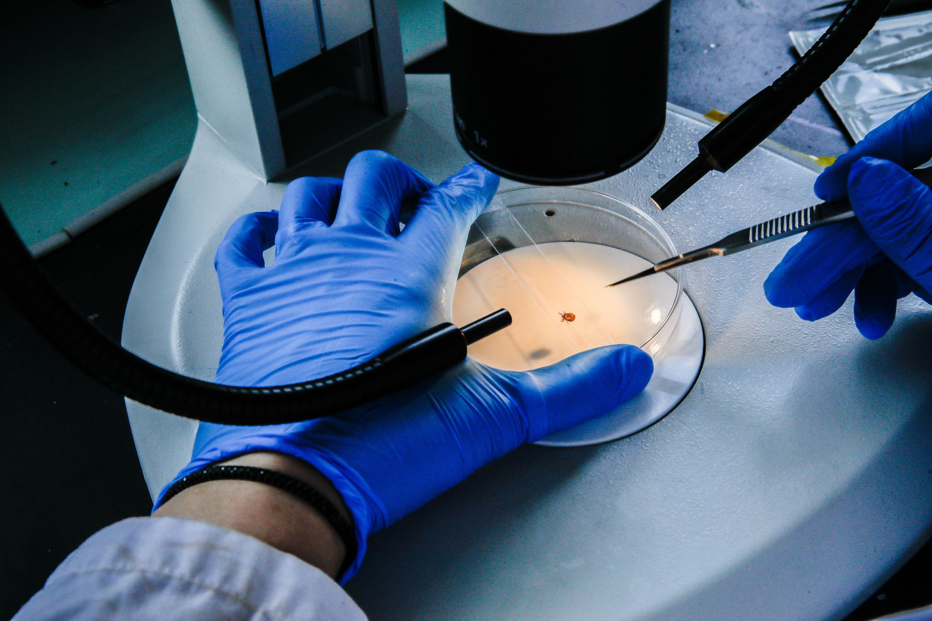 286 sites closed, 23 arrested in pharmaceutical ring bust