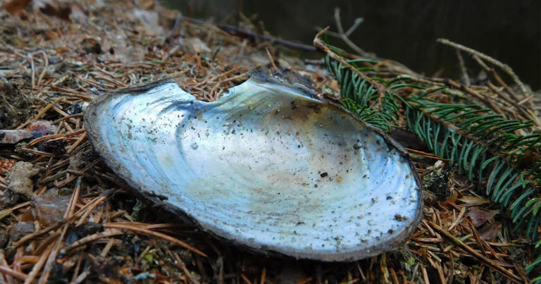 Helmi Loukasmäki, 23, säteilee uusissa kuvissaan