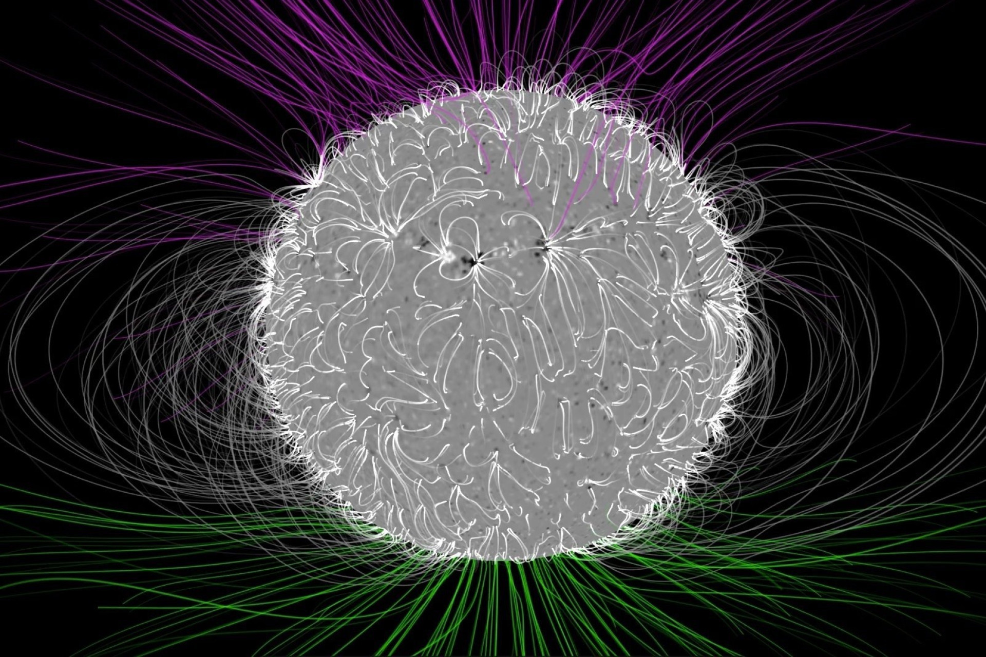 The Sun’s magnetic field flipped—what happens next?
