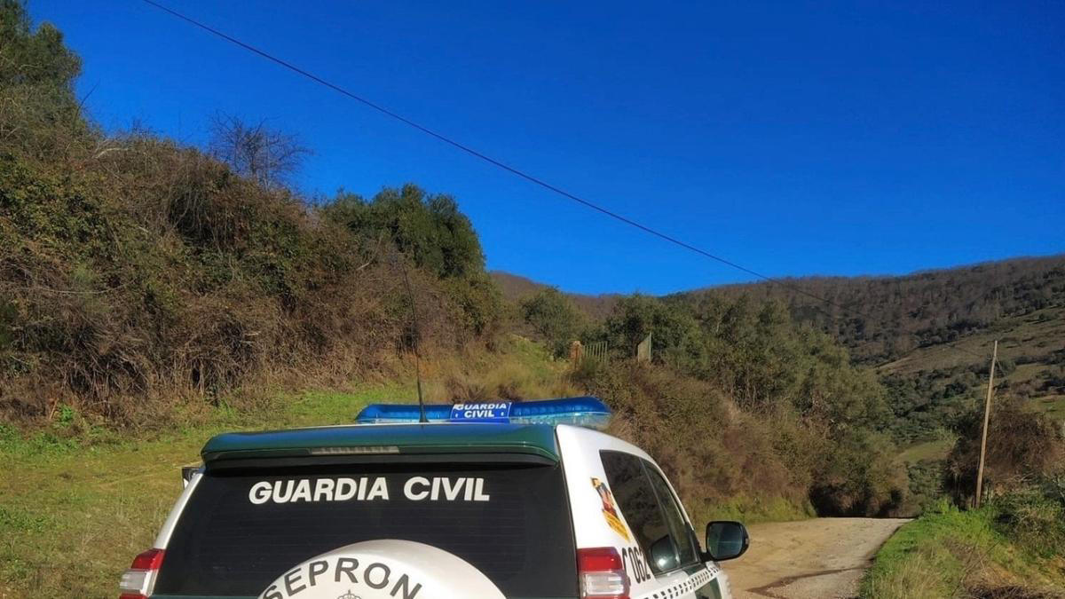 Dos cazadores furtivos se lían a hachazos con los guardas rurales que ... Dos cazadores furtivos se lían a hachazos con los guardas rurales que ...