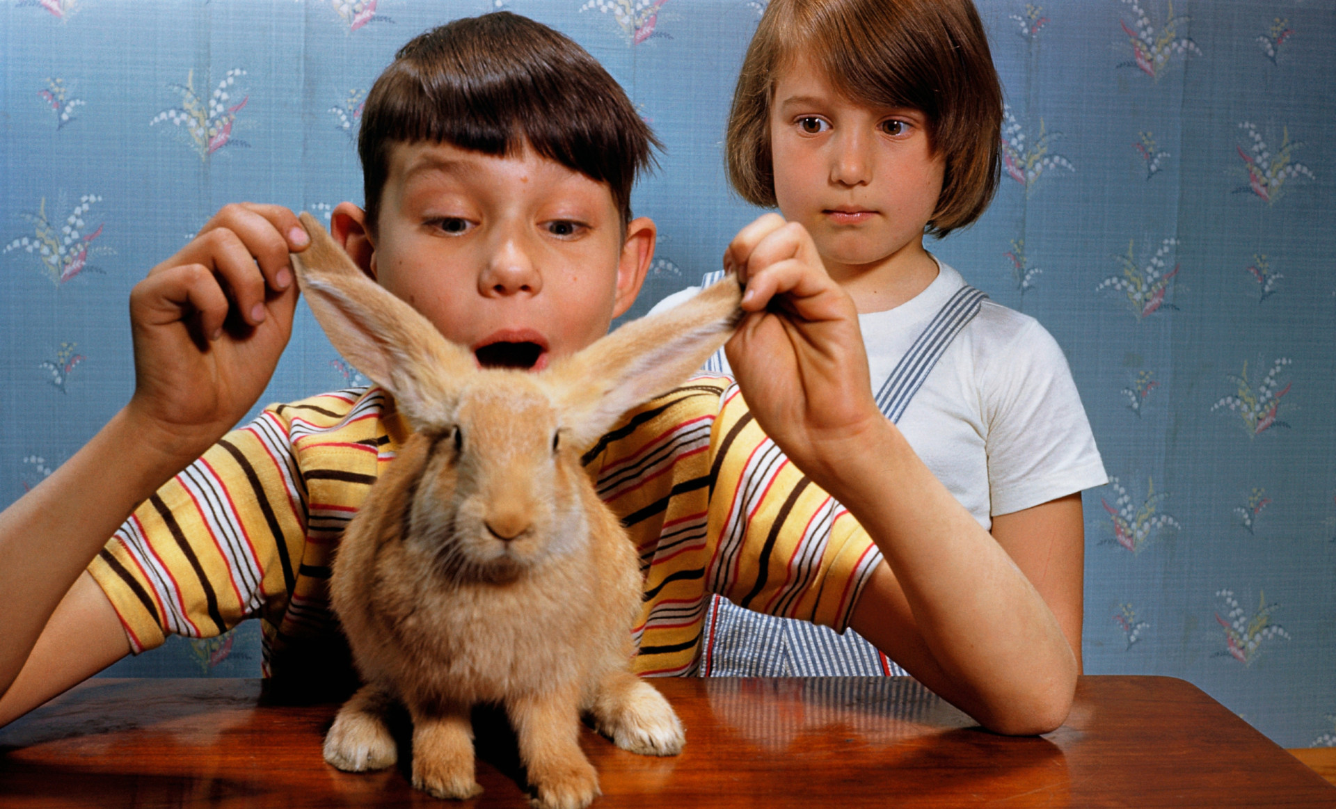 Your three most annoying traits, according to your star sign