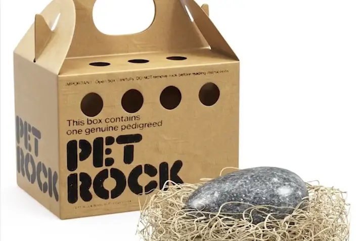 Why We Fell in Love With the World’s Most Useless Pet