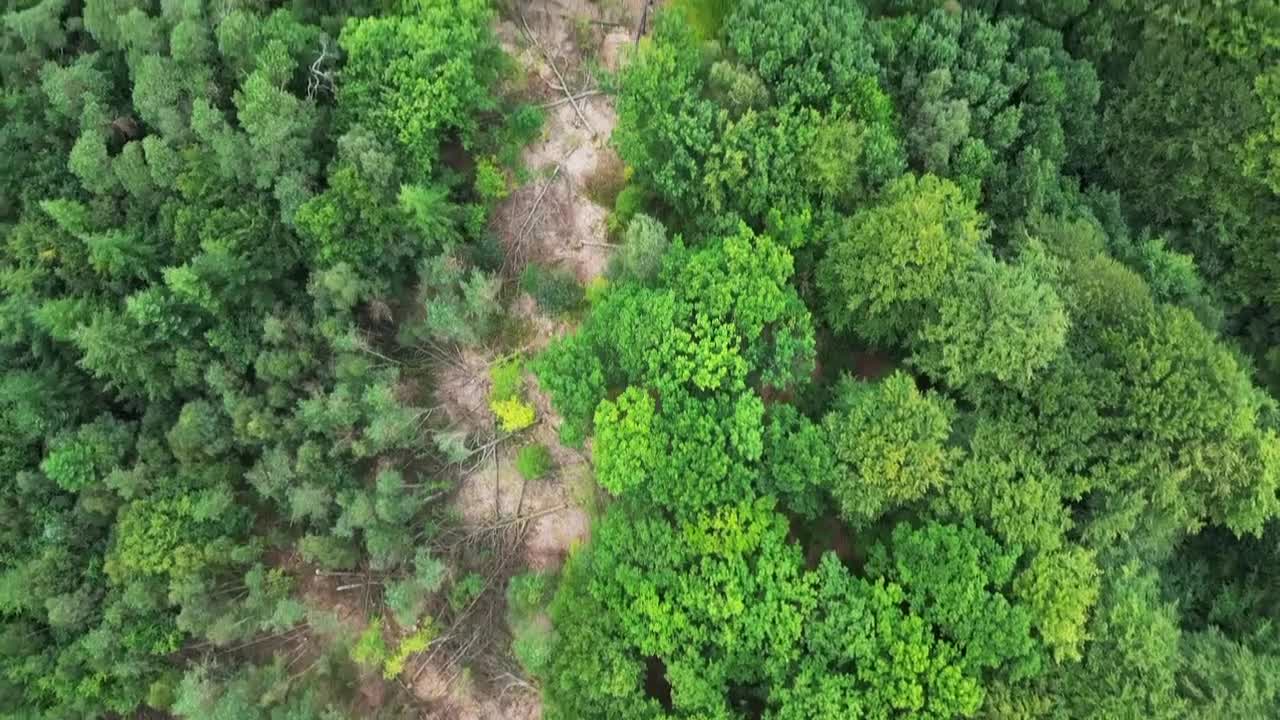 Sky Mountain Explored: Serene Scenes from Himmelbjerget's Summit