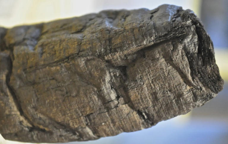 Scientists digitally "unroll" ancient scroll scorched by Mount Vesuvius