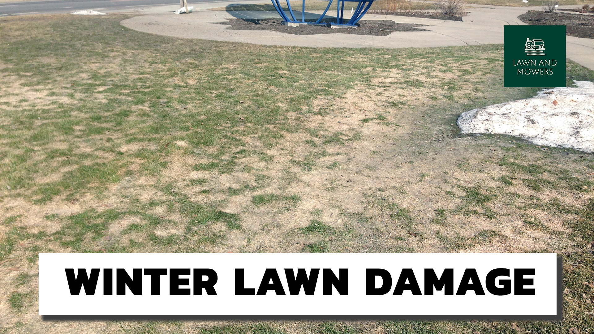 How to Repair Winter Lawn Damage Ahead of Spring
