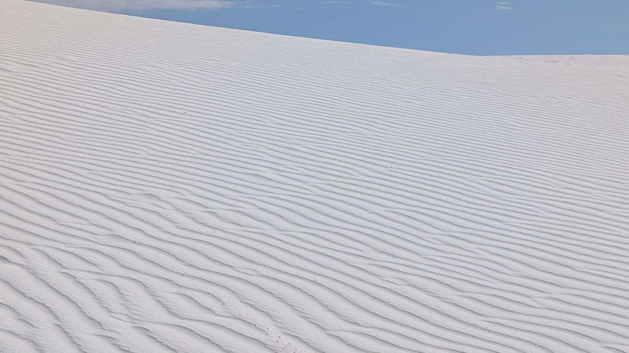 Experience White Sands Like A Pro With These 13 Expert Tips