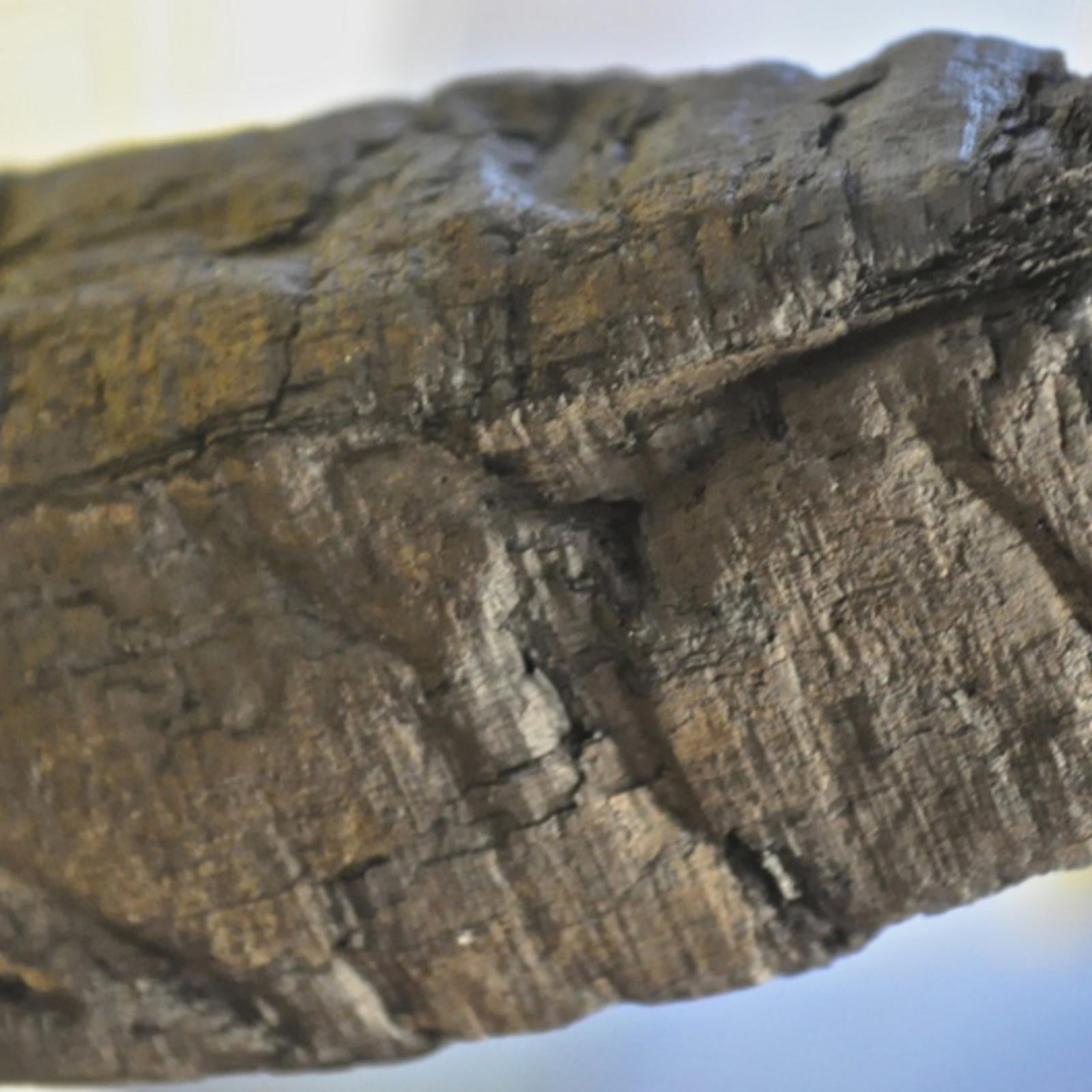 Scientists digitally "unroll" ancient scroll scorched by Mount Vesuvius