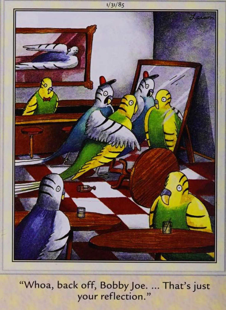 These 10 Far Side Comics Just Turned 40; Here's Why We're Still Obsessed With Them