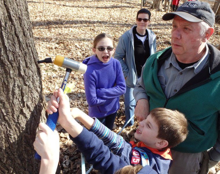 Adventures: Get your hands on spring with maple tree tapping and pools ...