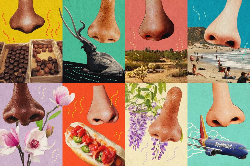 What's that smell? Readers share the scents that remind them of L.A.