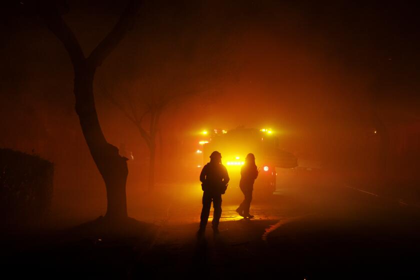Behind the arson arrests during the firestorm: Cases reveal L.A.'s ...
