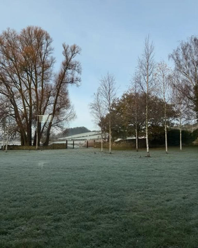 Ellen DeGeneres reveals the real reason she left the US and why she's ...