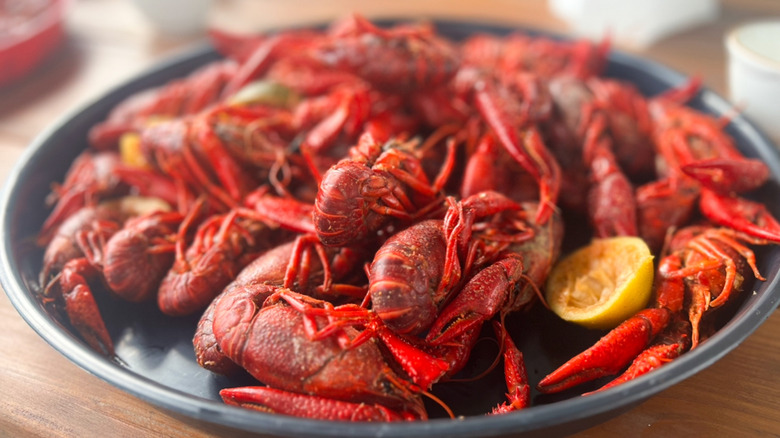 An Expert's Advice For Buying Quality Crawfish Out Of Season