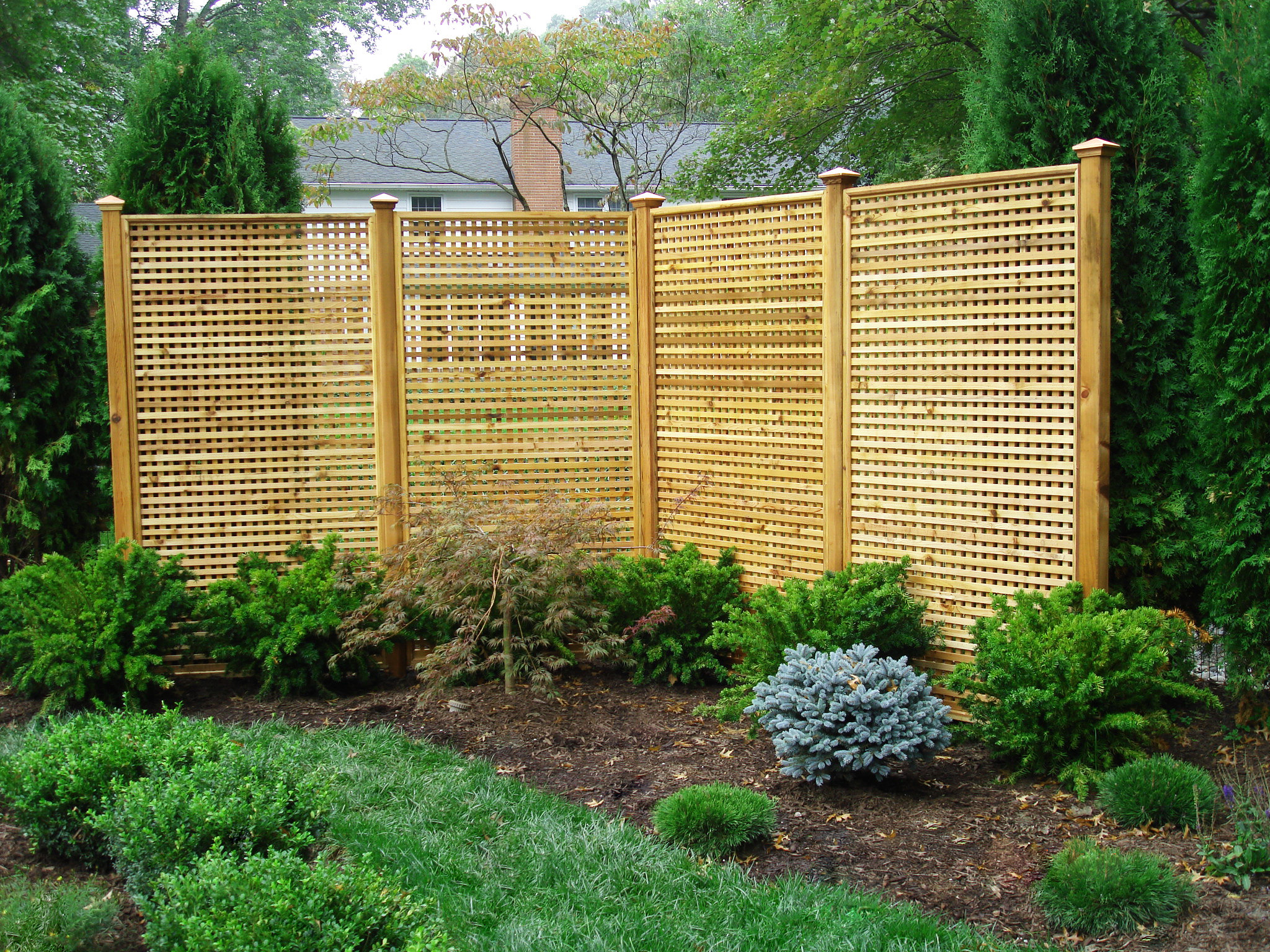Backyard privacy ideas for a secluded garden oasis