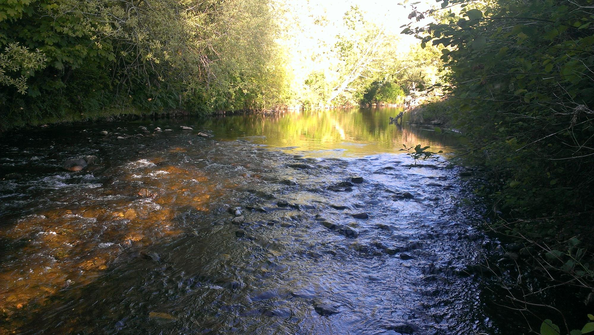 Imogen Cleary-Vong: Incredible sadness for family after death of 'a ...