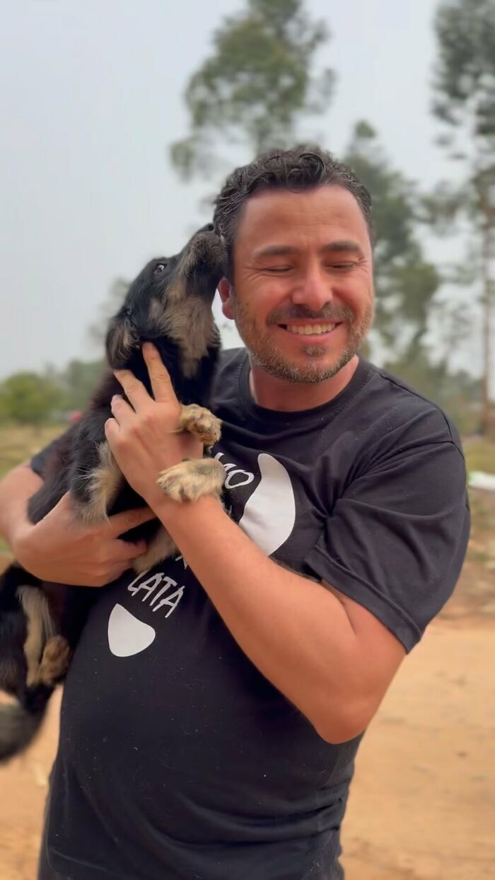 One Man Who Changed Countless Lives Of Stray Animals Over 25 Years