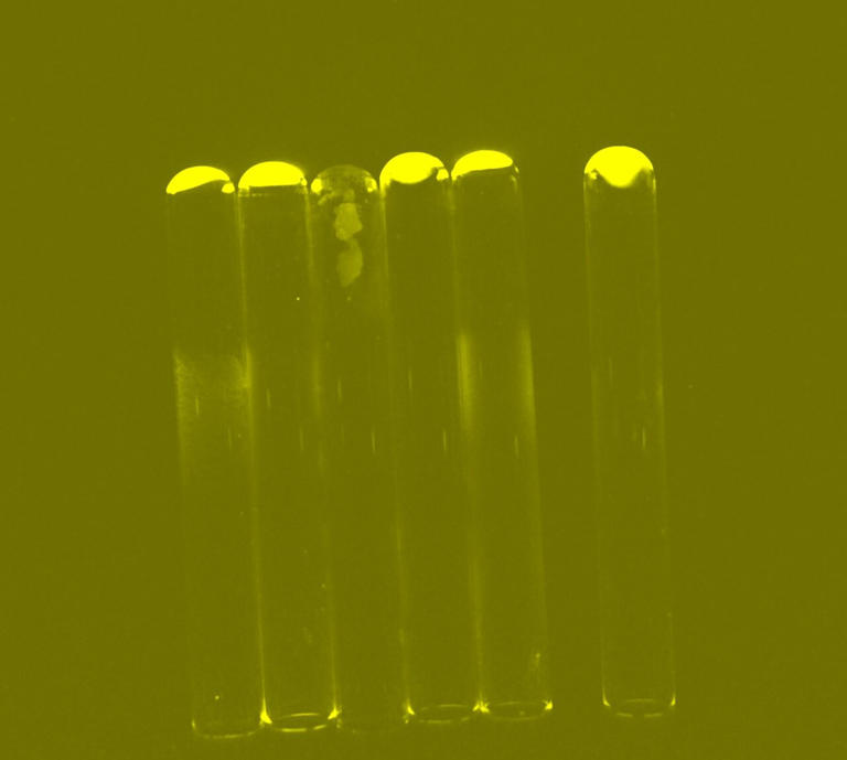 How life's building blocks took shape on early Earth: The limits of ...