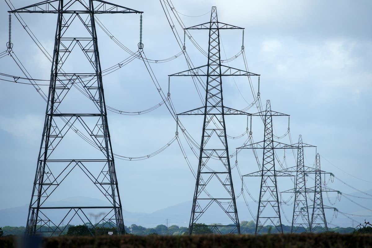 Giant pylons opposition alliance formed