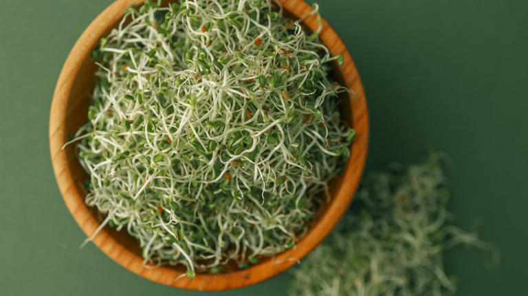 12 Foods To Avoid When Packing Make-Ahead Lunches