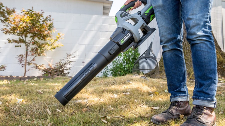 Could leaf blowers be banned in Providence?