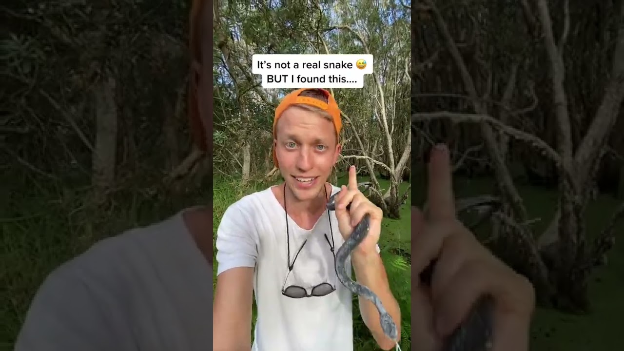 Searching for SNAKES in Australia #shorts