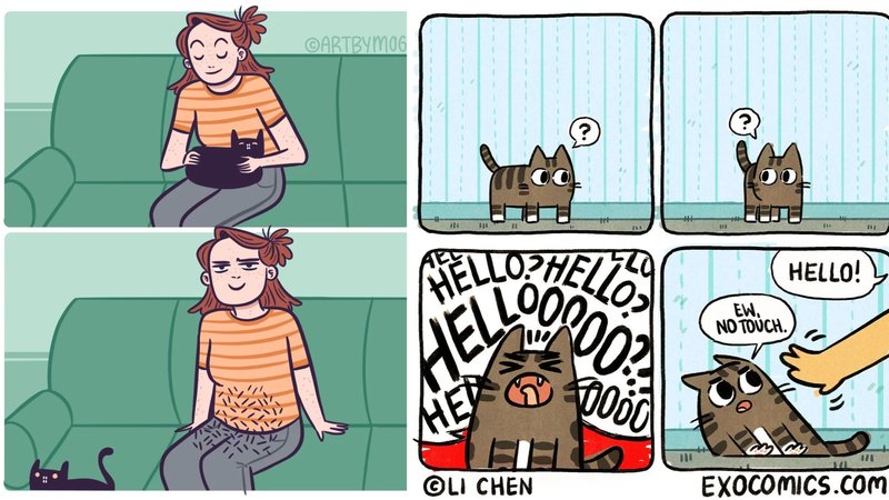 24 Humorous And Wholesome Comics To Look At Today