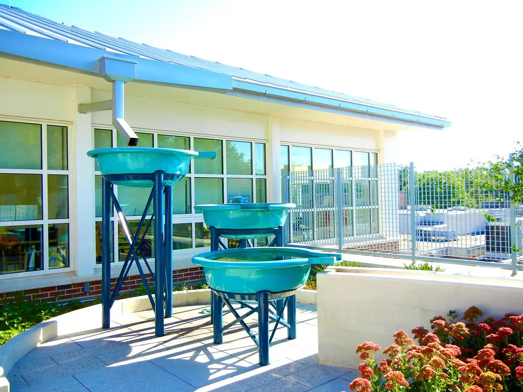 10 cutest and most adorable animals in the wild