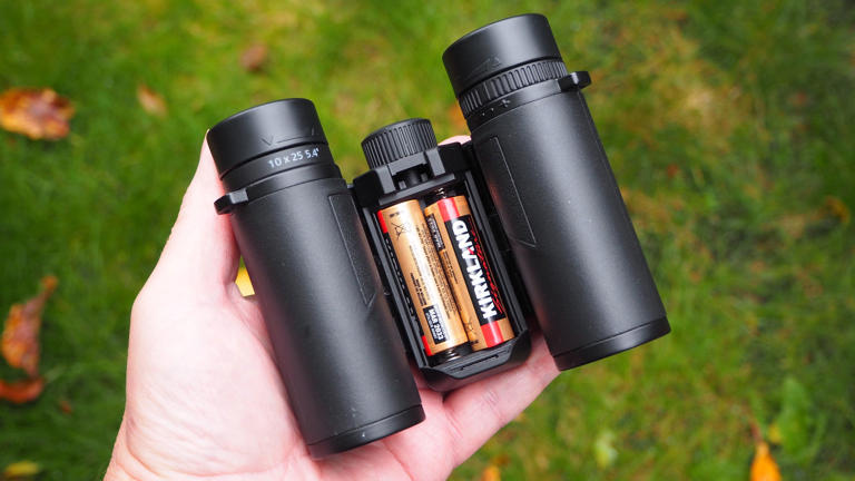 Nikon Stabilized 12x25 S and 10x25 S binoculars review: can this pair ...