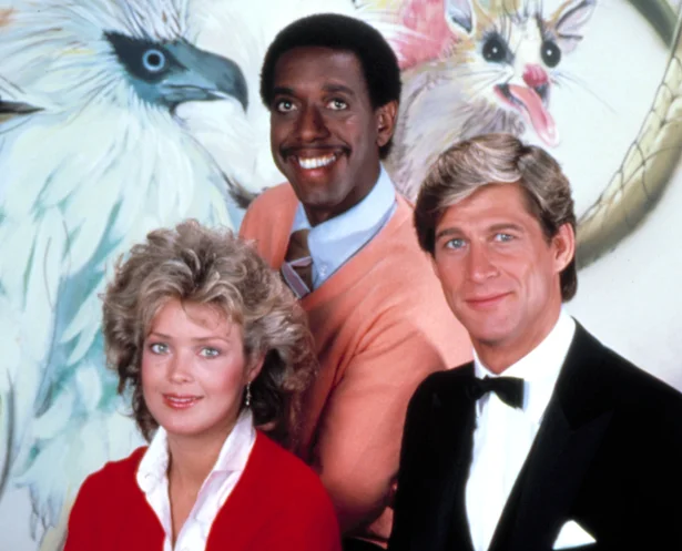 13 ’80s TV Shows That Had No Business Being on Prime Time