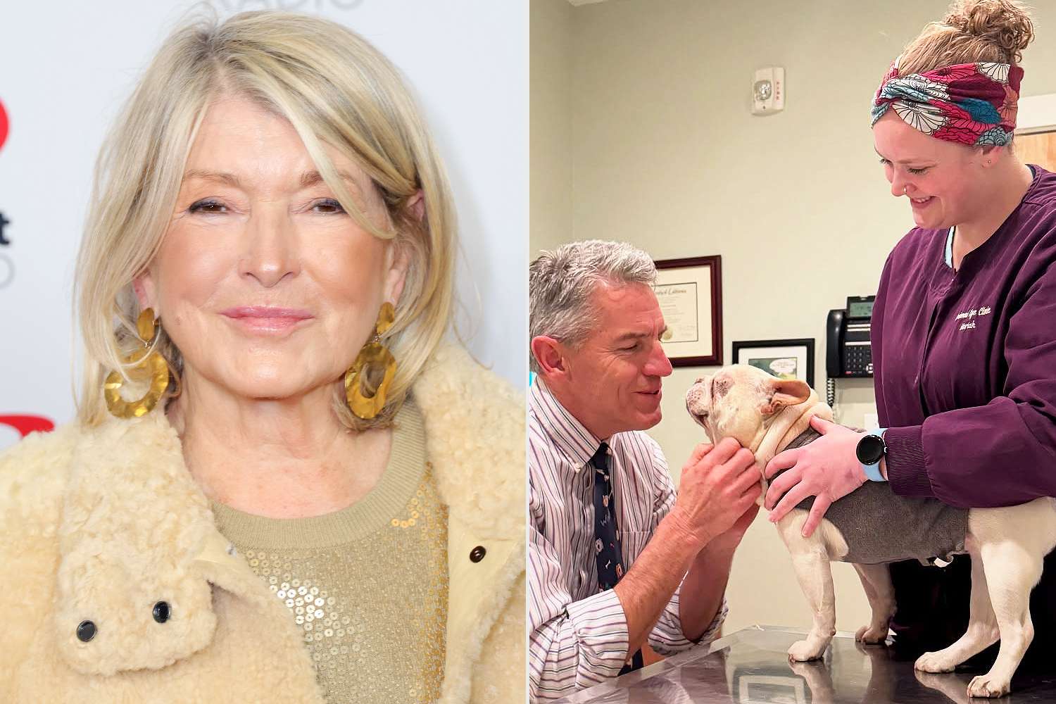 Martha Stewart Reveals Her Dog's Eye Was Removed After the Pet ...