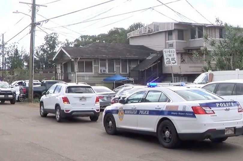 'Blood-curdling screams' in dog attack before Hawaii boy, 8, came out ...