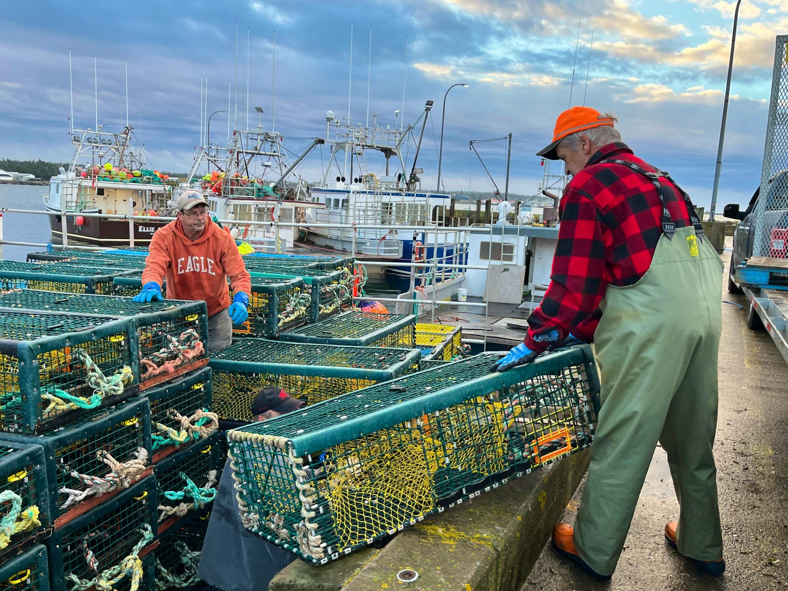 N.S. government creates tariff-information hotline, online survey