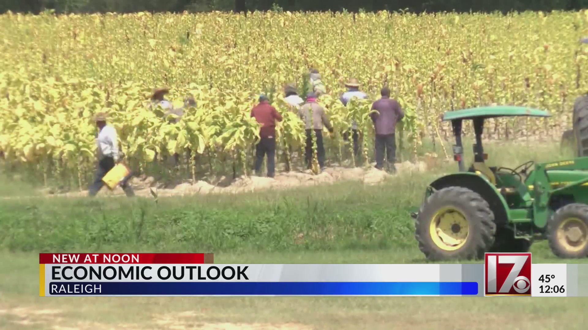 NC agriculture expected to make slow improvements in 2025