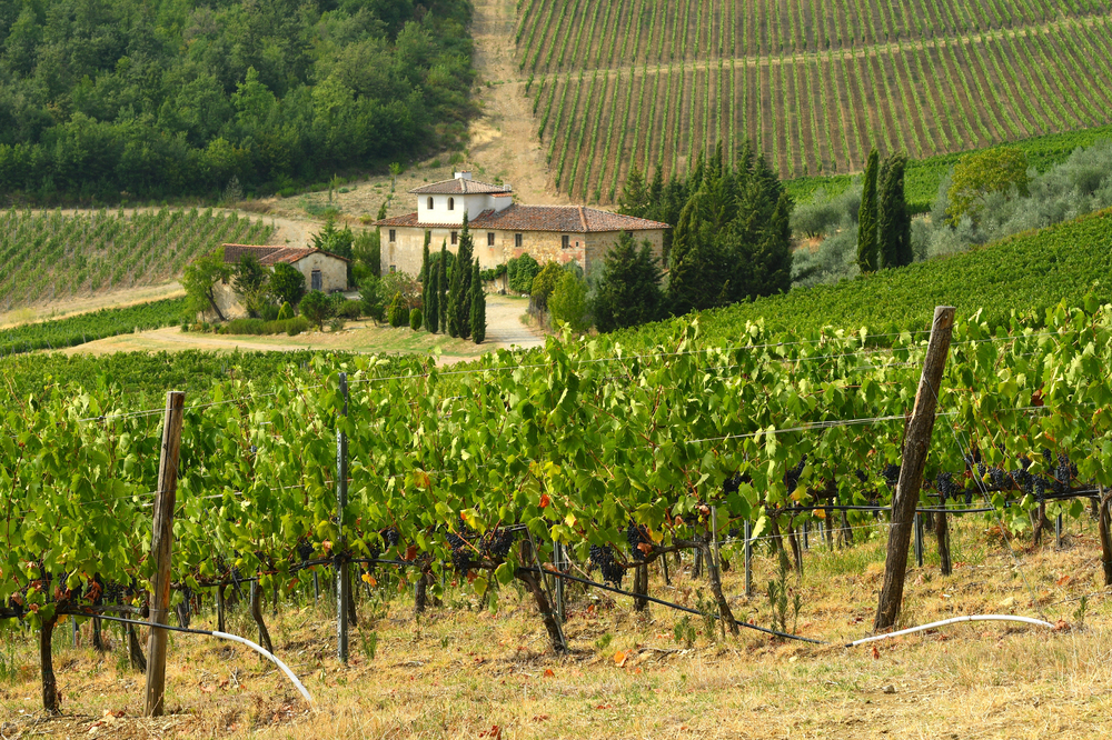 20 Scenic Drives Through Tuscany That Will Take Your Breath Away