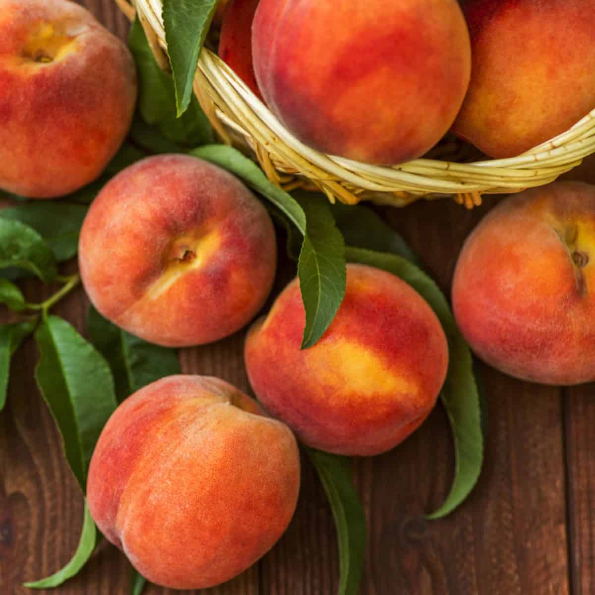 Savoring The Flavors In The Different Types Of Peaches