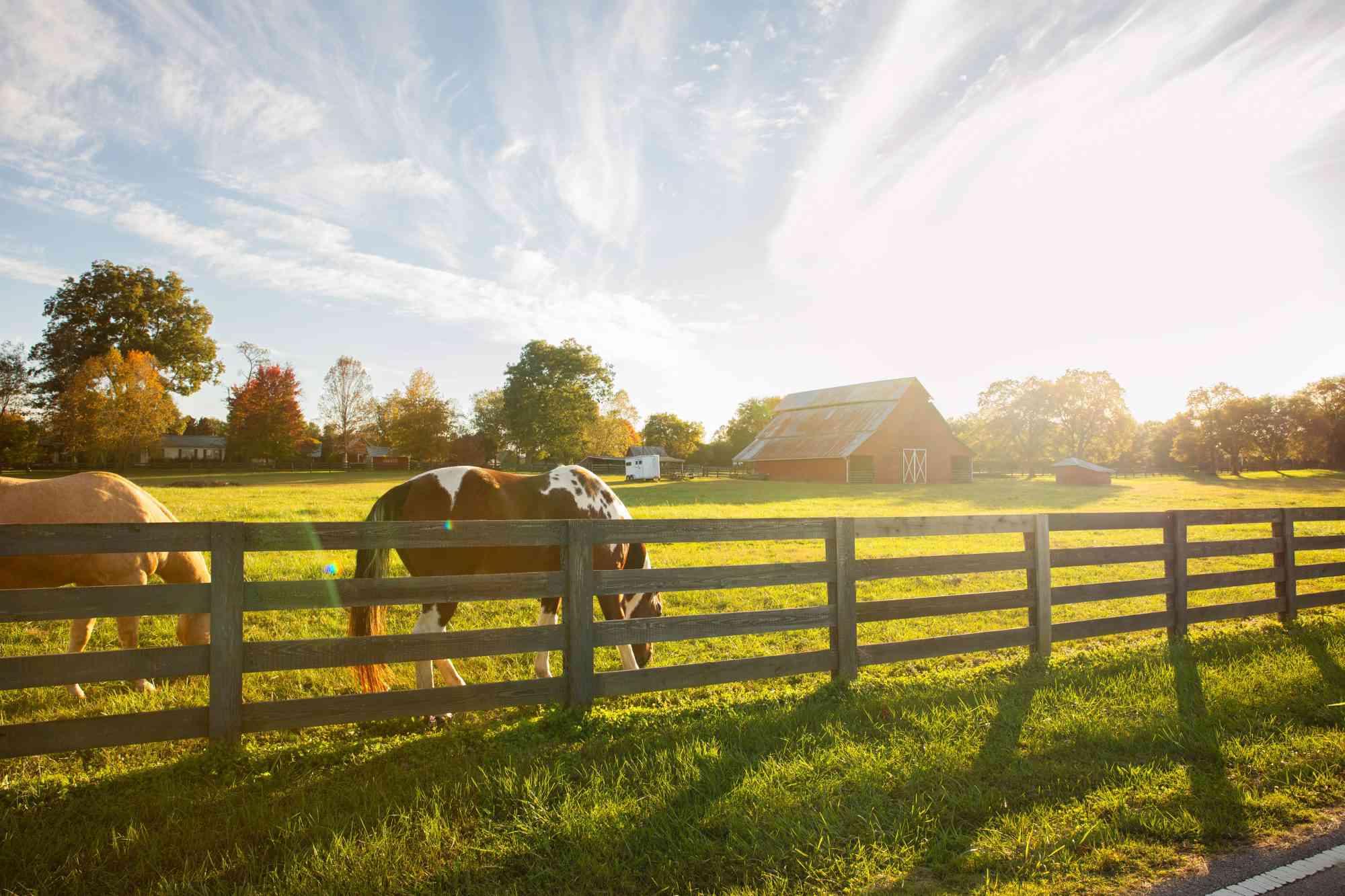 The 20 Best Things To Do In Franklin, Tennessee