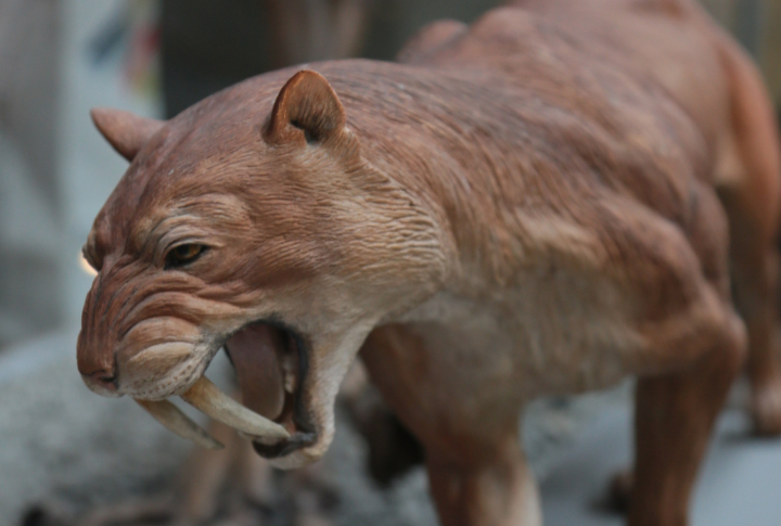 10 Ancient Hunters And Why They Vanished