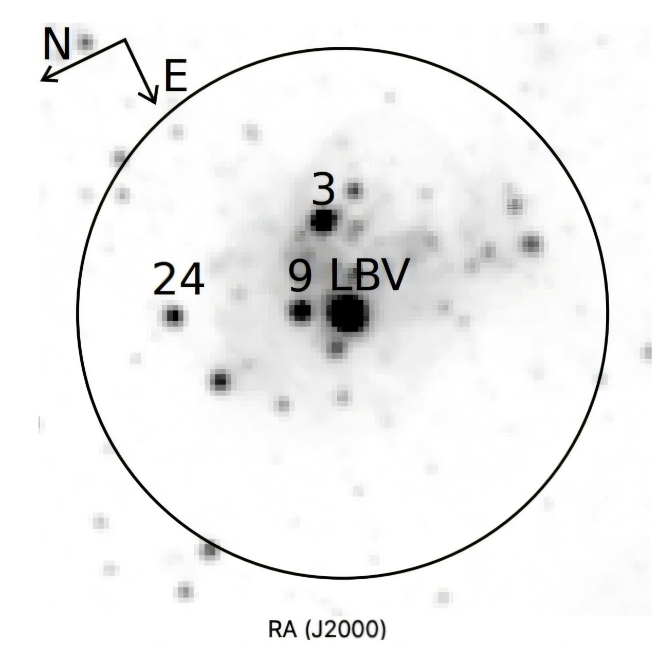 Unique metal-poor luminous blue variable inspected by astronomers