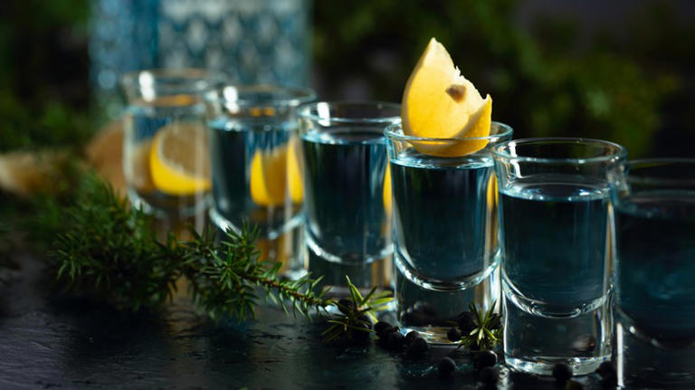 The Best Way To Drink Gin For The Full Flavor Experience