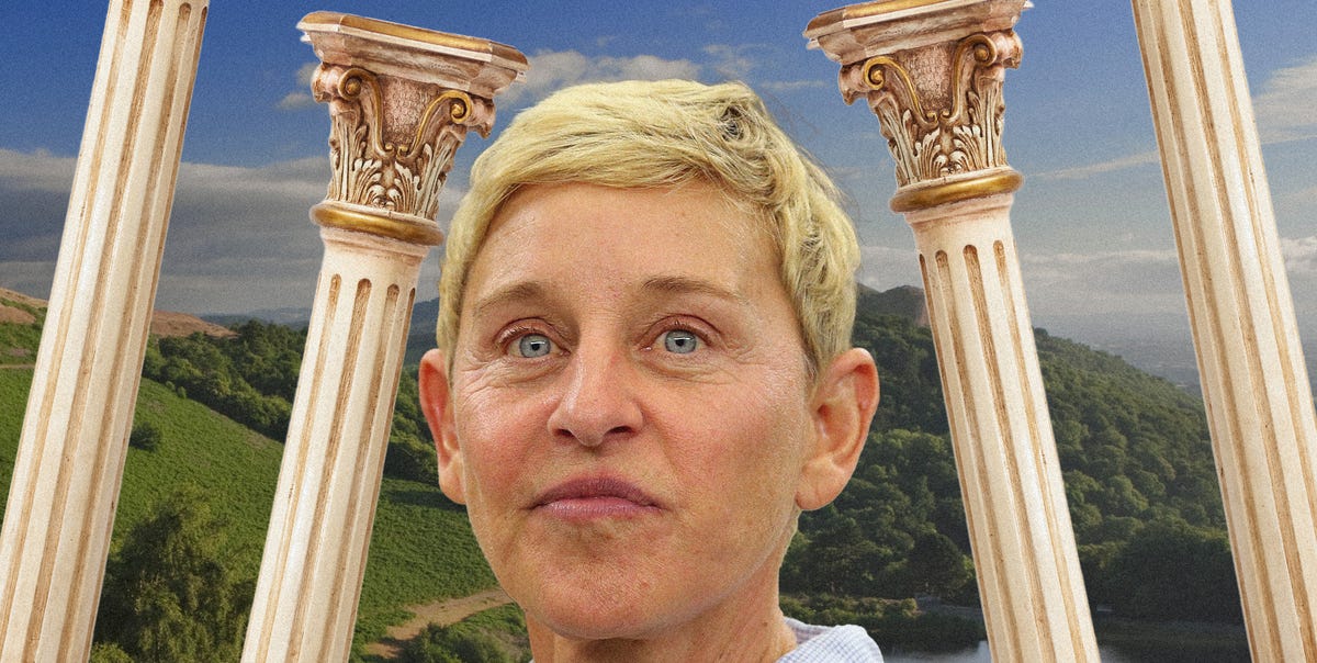 Ellen Degeneres Clashes With Neighbors Over Home Renovation Scandal