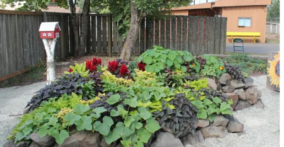Regenerative Gardening: 20 Proven Techniques to Supercharge Your Soil ... Regenerative Gardening: 20 Proven Techniques to Supercharge Your Soil ...