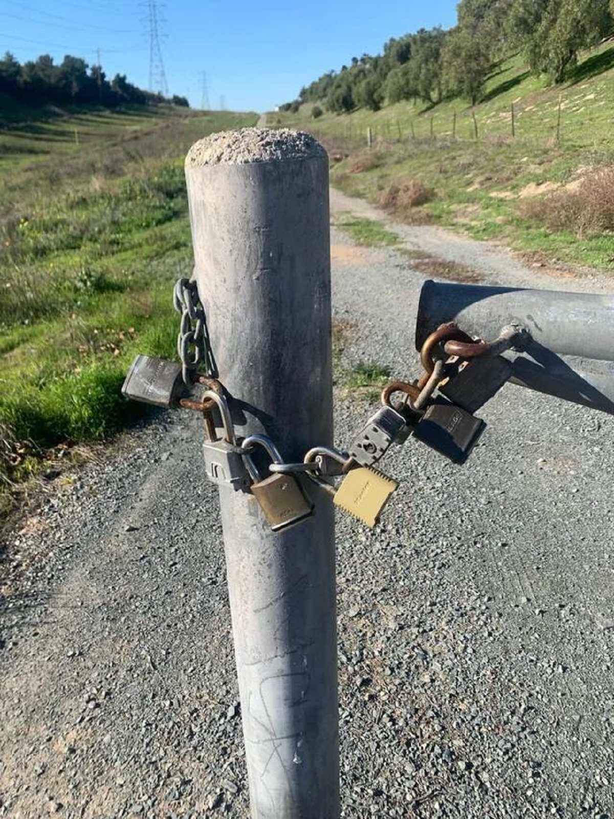 40 Unusual Things Discovered Out There in the Wild