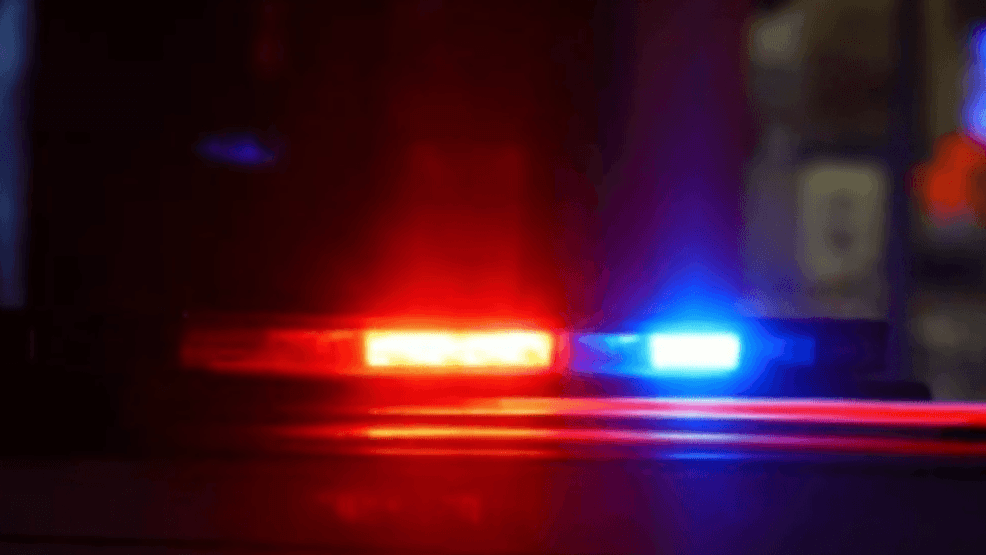 Motorcyclist killed after veering off-road into grassy median identified