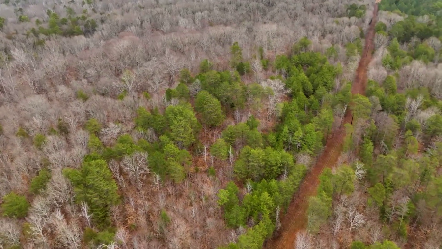 Anderson Reserve development free to move forward on former plantation site