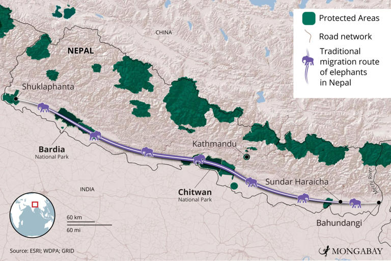 In Nepal’s Chitwan, elephant’s shooting, death raises eyebrows
